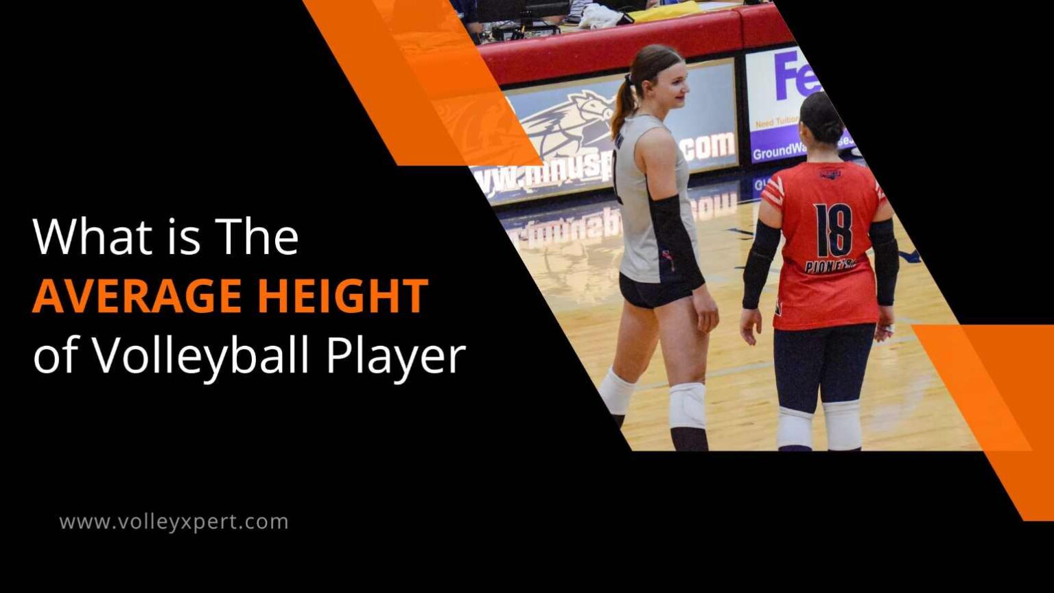 What is The Average Volleyball Player Height?
